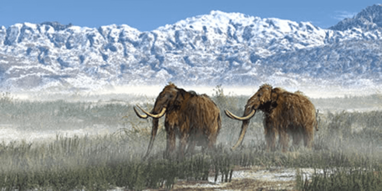 INL, Shoshone-Bannock Tribes examine remnants of long-gone Lake Terreton - Idaho National Laboratory